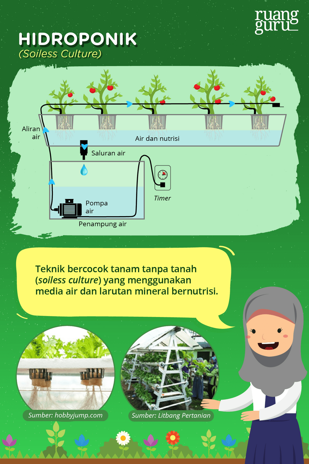 Hidroponik, Oase di Lahan Sempit | Biologi Kelas 9